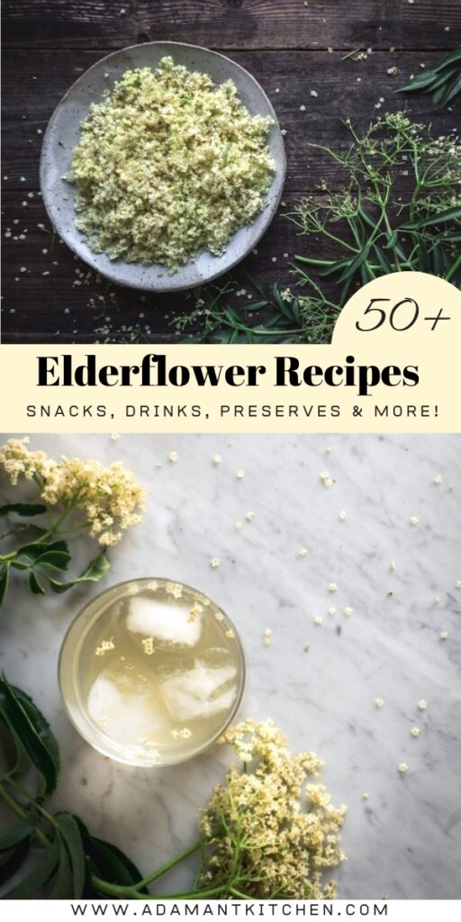50+ Elderflower Recipes - Adamant Kitchen